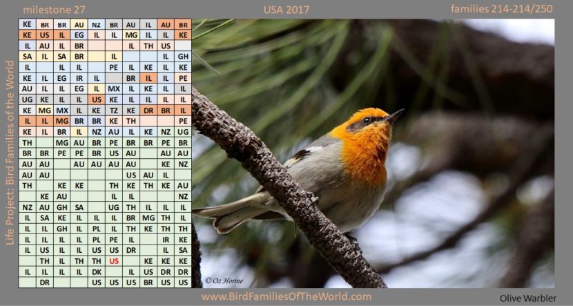 milestone 27 | USA 2017 | family 214/250 – Bird Families of the World