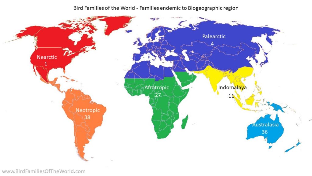 Families in 1 biogeography region – Bird Families of the World