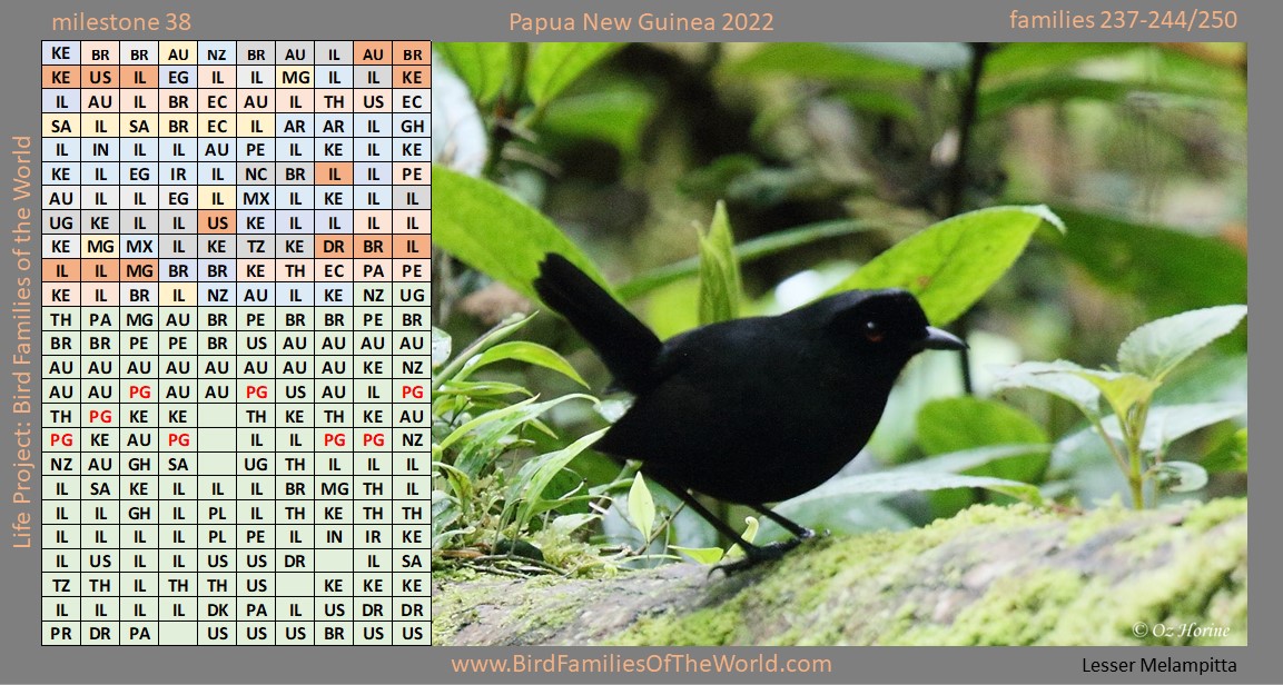 milestone 38 | Papua New Guinea 2022 | families 237-244/250 – Bird ...